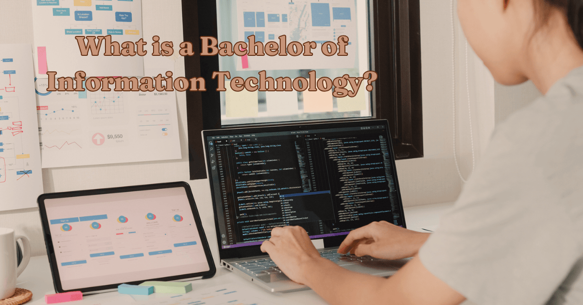 Bachelor of Information Technology: An Undergraduate Degree in IT - HB Tech